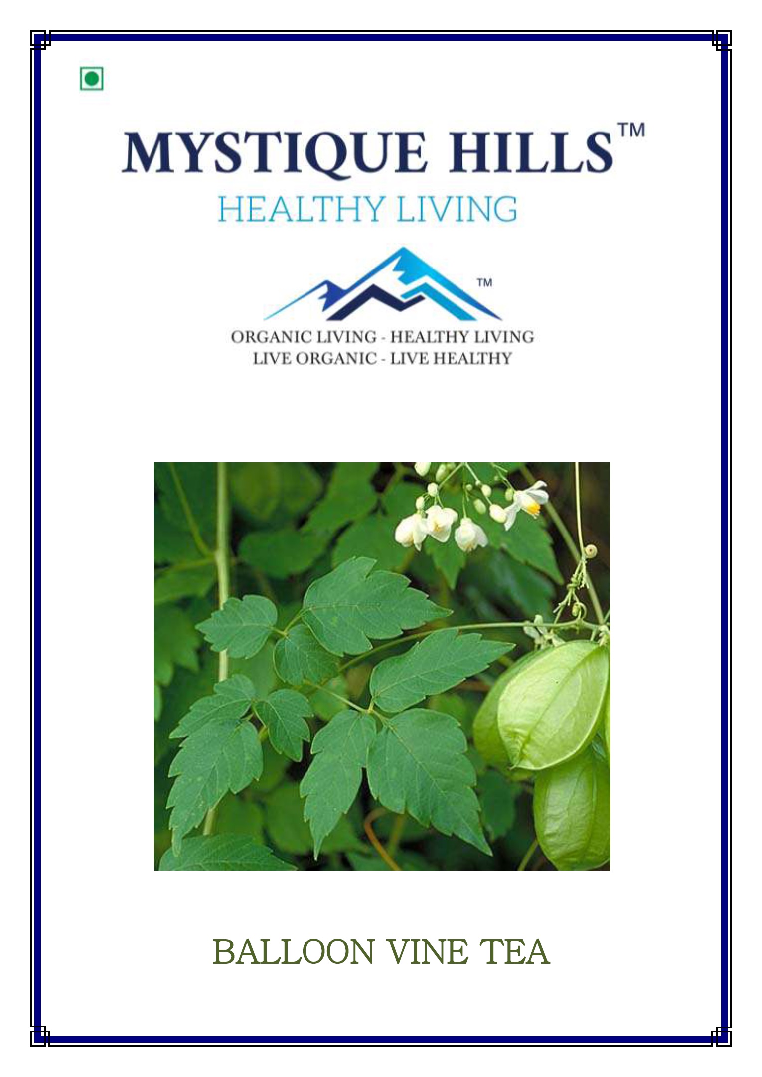 Mystique Balloon vine powder 100 g - Mystique Hills