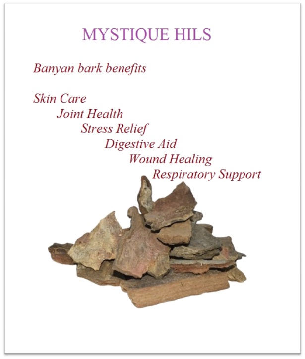 Mystique Banyan bark uses and benefits - Mystique Hills