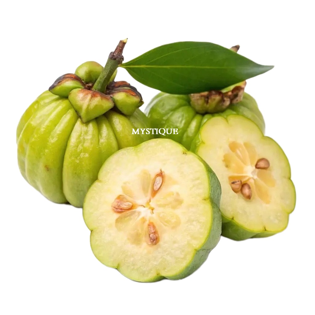 Garcinia gummi-gutta uses and benefits - Mystique Hills