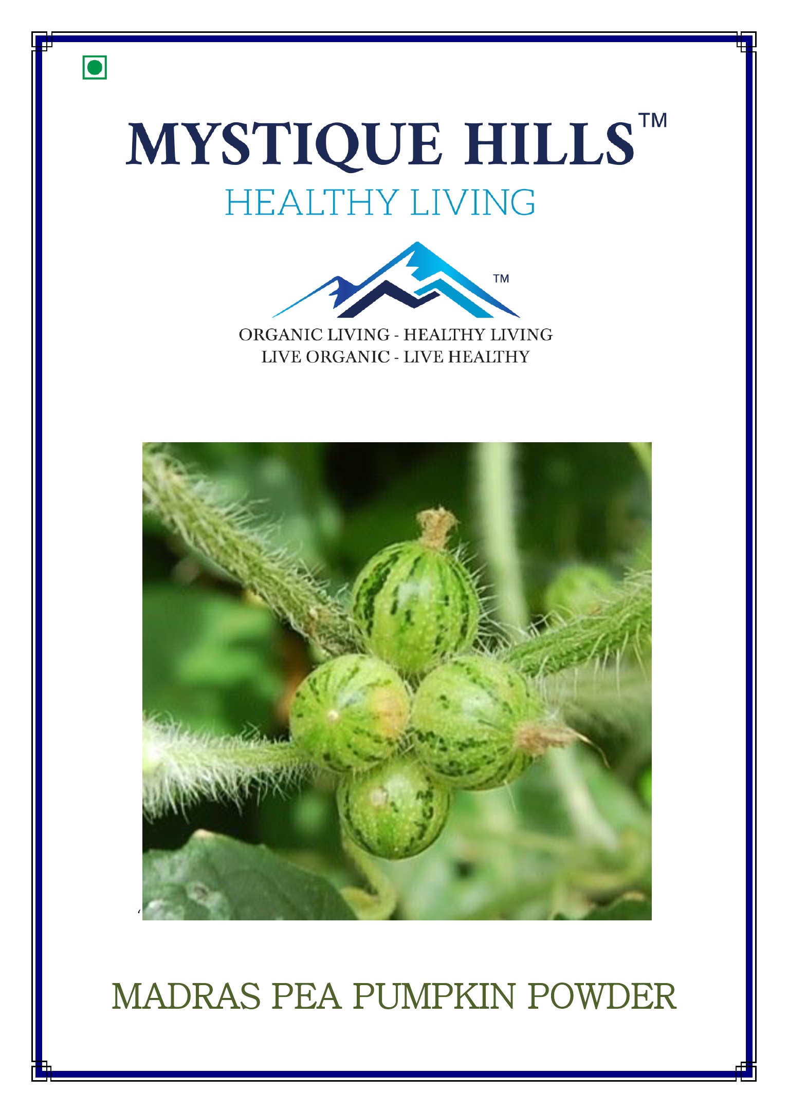 Mystique Madras pea pumpkin powder 100 g - Mystique Hills