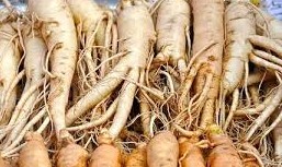 Indian Ginseng powder Amukkara Chooranam Ashwagandha churna - Mystique ...