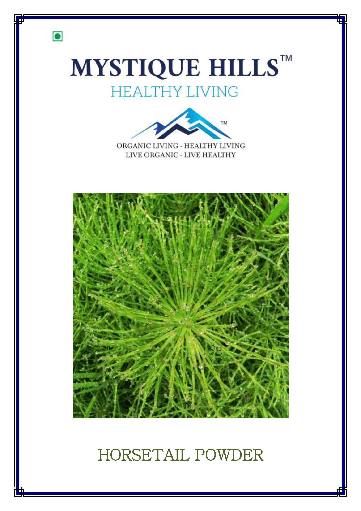 Mystique Horsetail extract powder 50 g - Mystique Hills